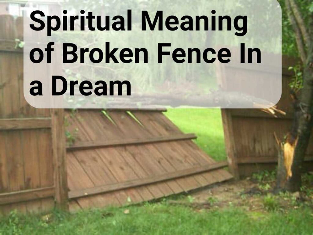 Spiritual Meaning Of Broken Fence In A Dream - DreamPeas