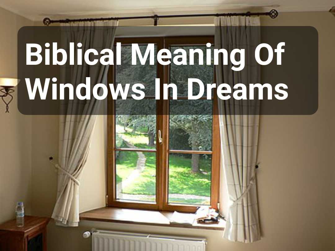 Biblical Meaning Of Windows In Dreams - DreamPeas