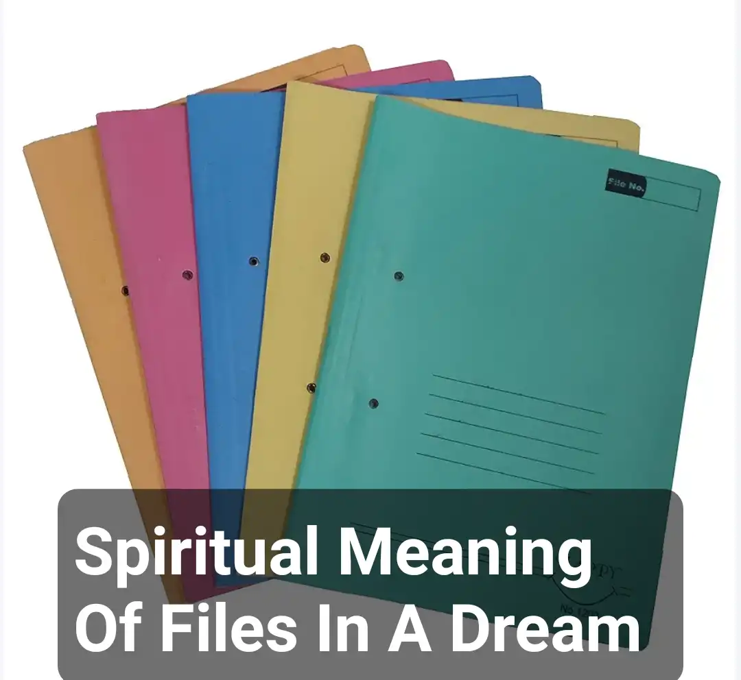 Spiritual Meaning Of Files In A Dream - DreamPeas