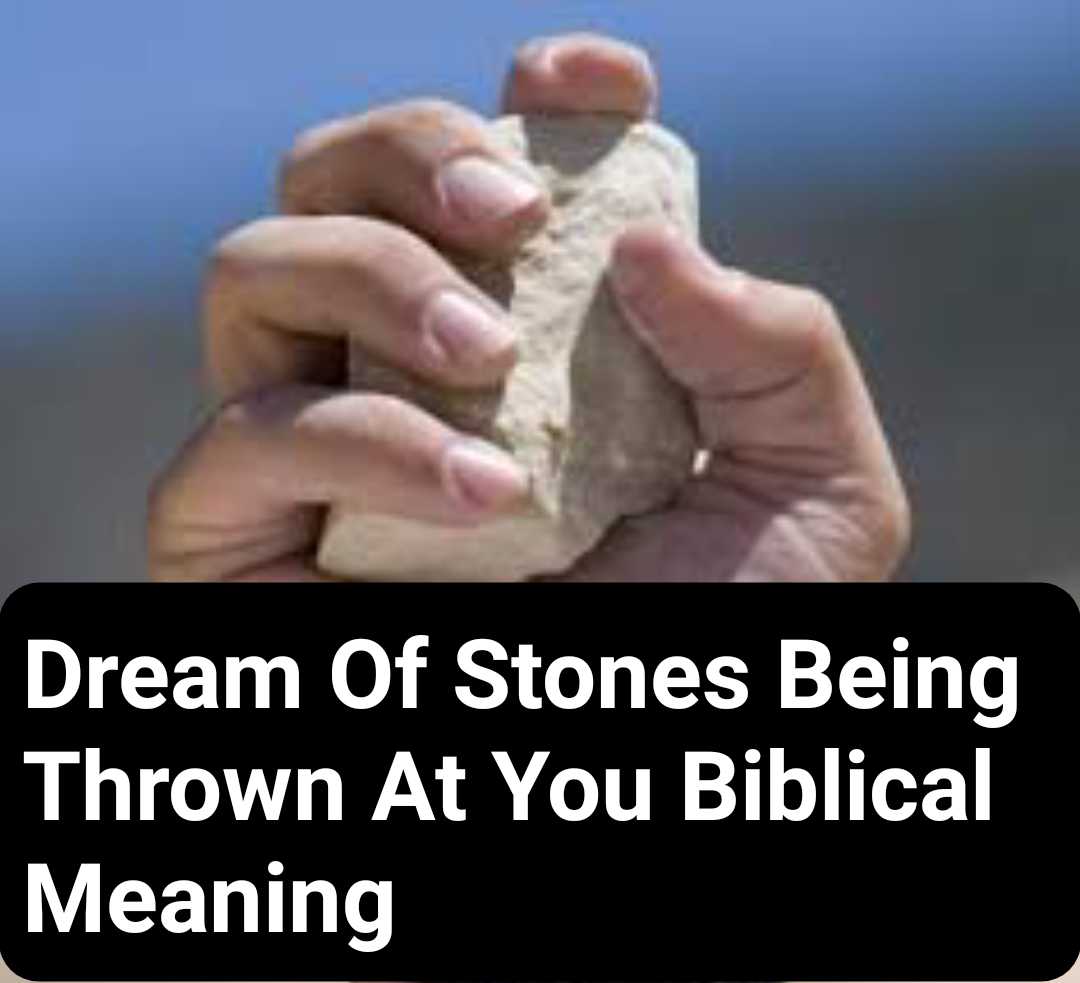 Dream Of Stones Being Thrown At You Biblical Meaning - DreamPeas
