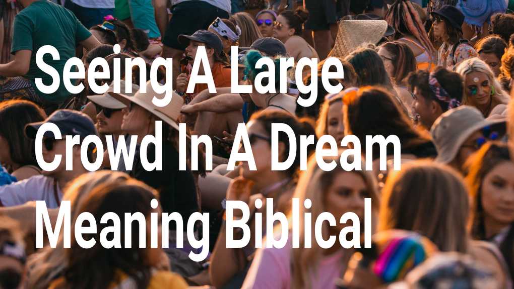 Seeing A Large Crowd In A Dream Meaning Biblical - DreamPeas